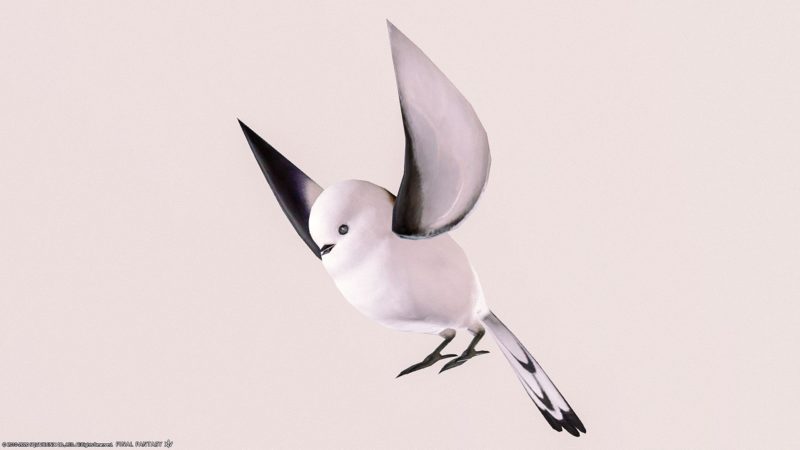 The cutest steampunk outfit ever! The island sanctuary reward “Baronial ...