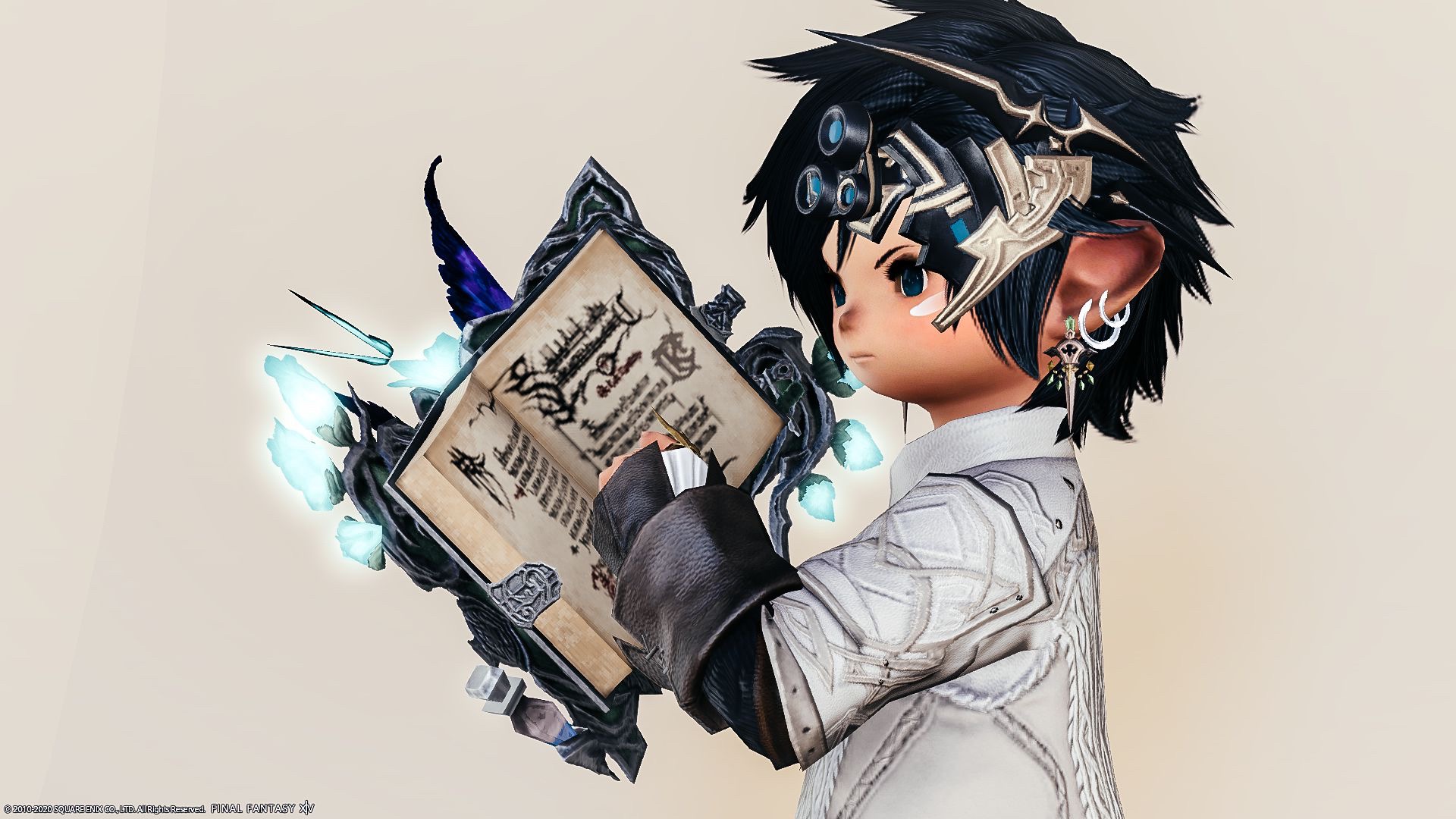 Stainable “magic book of butterflies” (Scholar’s Arm) “Fae Codex ...