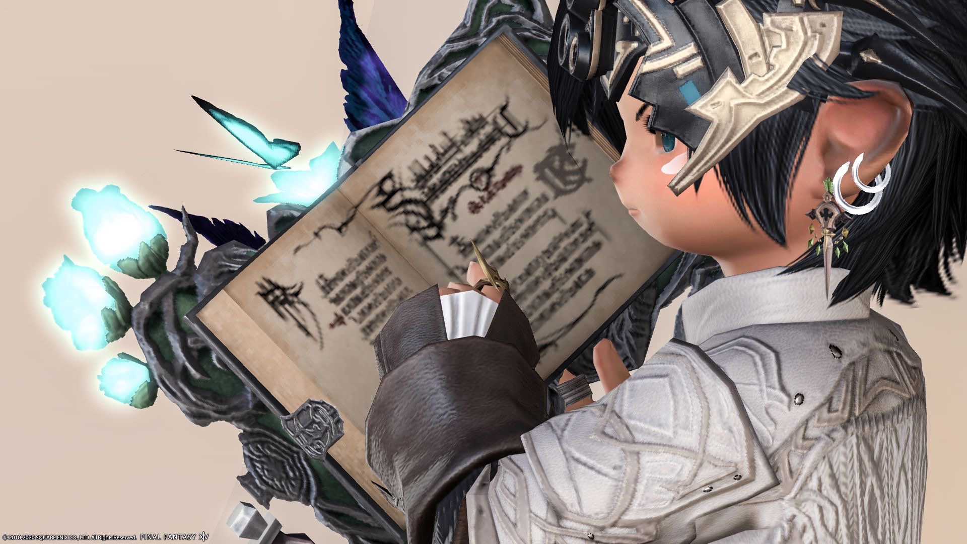 Stainable “magic book of butterflies” (Scholar’s Arm) “Fae Codex ...