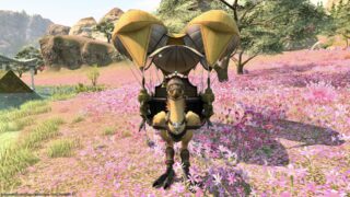 4-seater billing mount “chocobo carriage” Somehow a nostalgic and cute ...