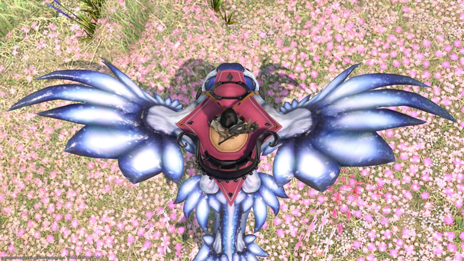 Huge ray? Eureka Hydros Expedition Mount Blue Angel “Eurekan Petrel ...