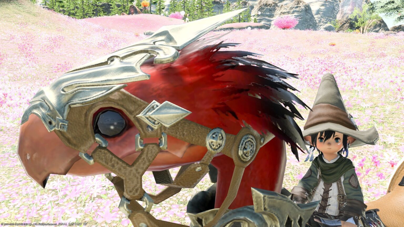 A two-seater mount that you can get from Recruit a friend campaign ...