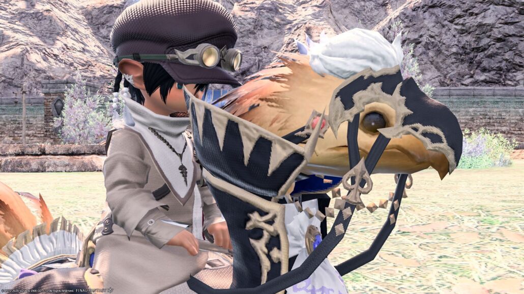 Chocobo armor “Gambler Barding” with a slightly noble image | Norirow ...