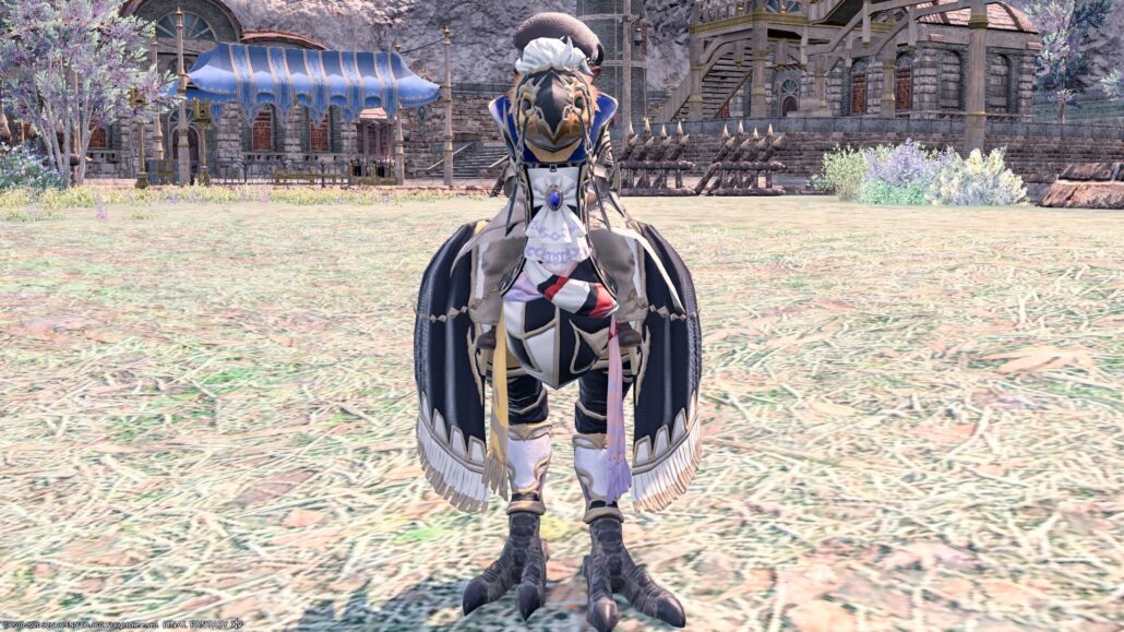 Chocobo armor “Gambler Barding” with a slightly noble image | Norirow ...
