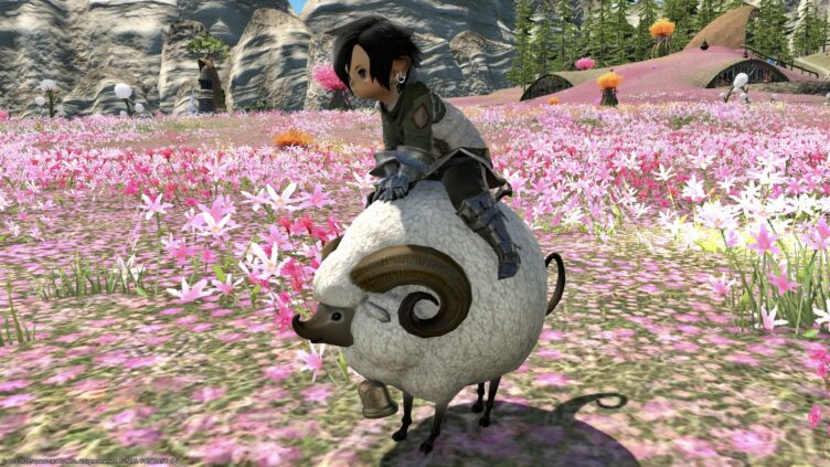 Cute sheep Mount The Firmament “Albino Karakul” | Norirow Note Eorzean ...