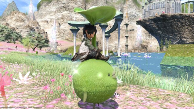 “Korpokkur Kolossus” of the grown butterbur leaf of Korpokkur | Norirow ...