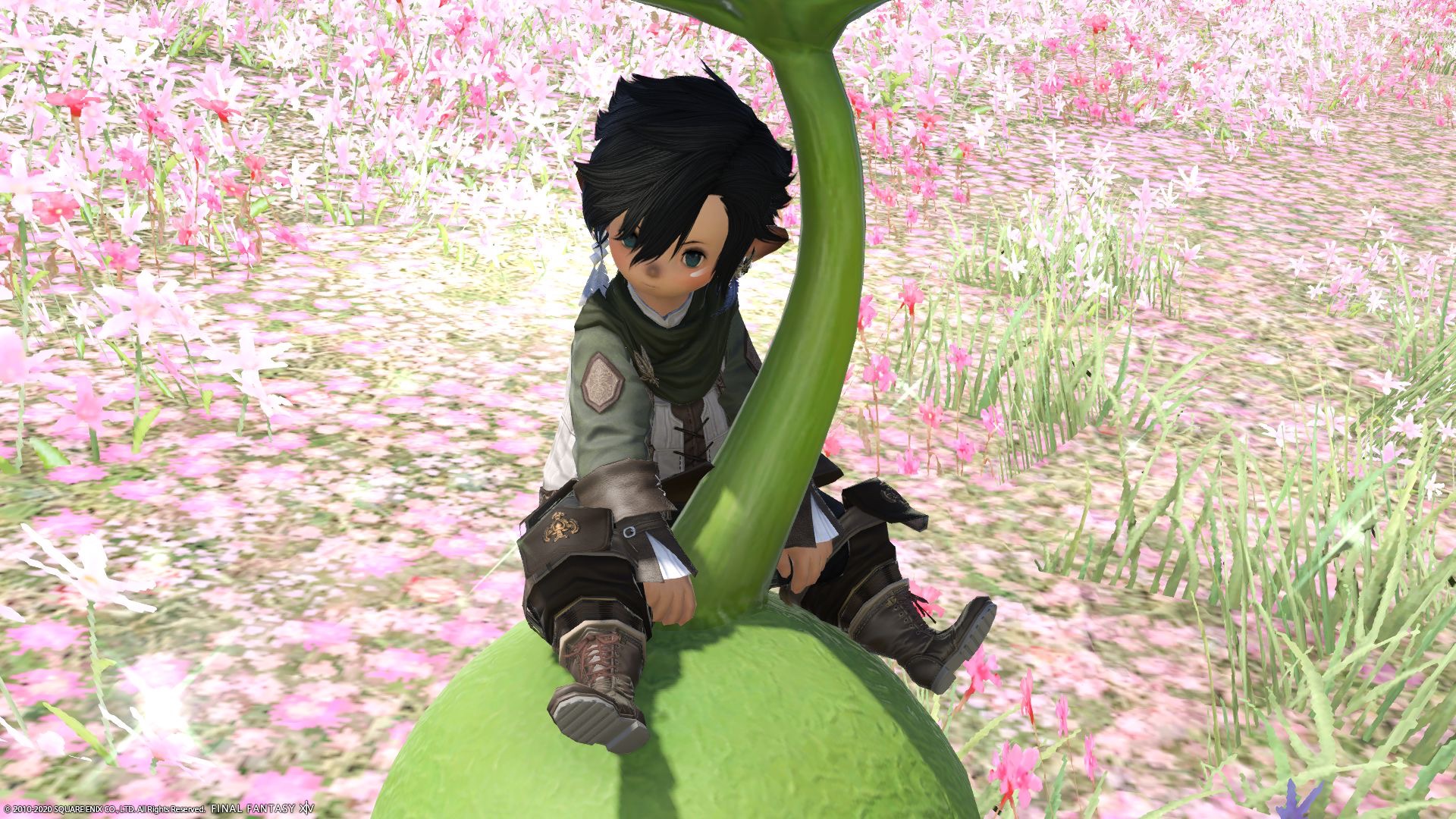 “Korpokkur Kolossus” of the grown butterbur leaf of Korpokkur | Norirow ...