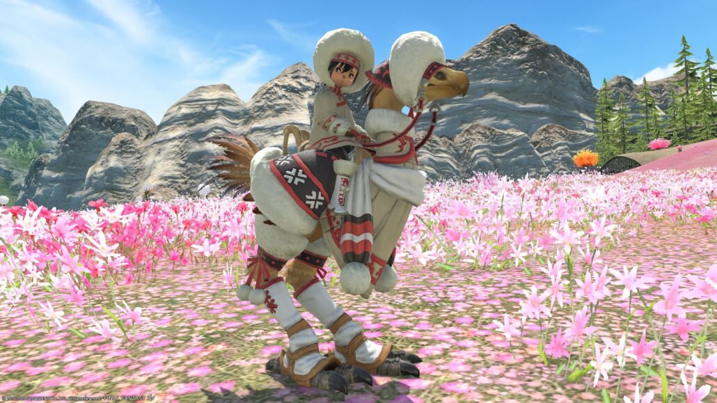Chocobo armor “Highland Barding” that was warm and cute | Norirow Note ...