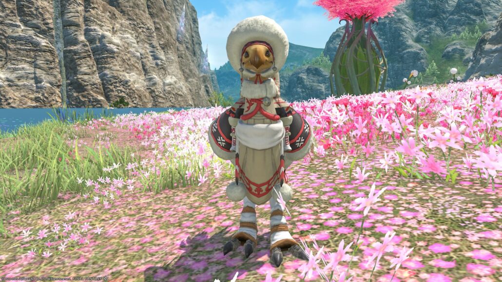 Chocobo armor “Highland Barding” that was warm and cute | Norirow Note ...