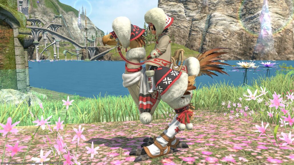 Chocobo armor “Highland Barding” that was warm and cute | Norirow Note ...