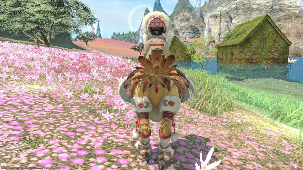 Chocobo armor “Highland Barding” that was warm and cute | Norirow Note ...