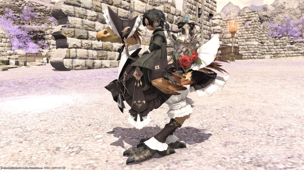 Chocobo armor “Abigail Barding” in chic and cute maid clothes | Norirow ...