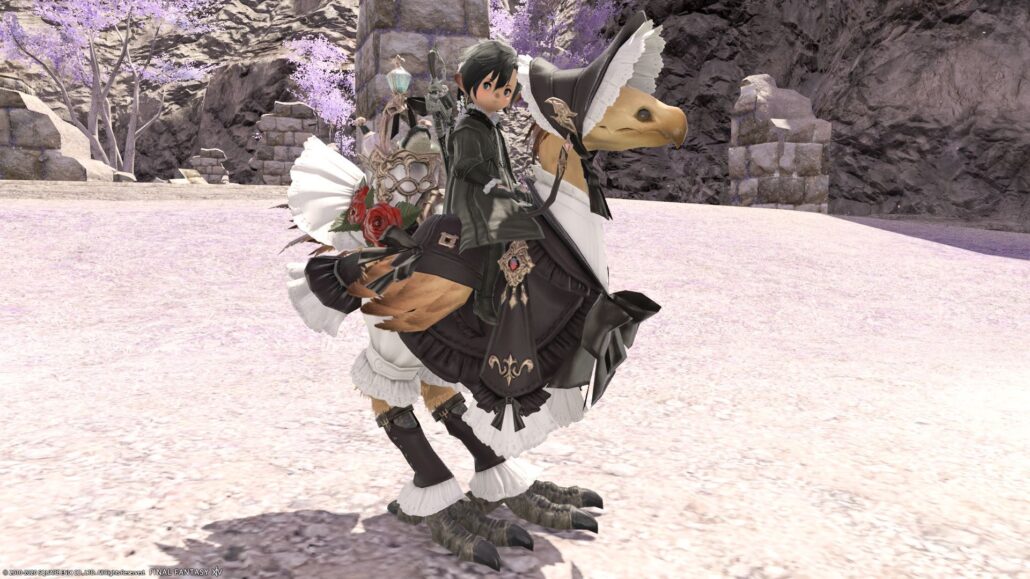 Chocobo armor “Abigail Barding” in chic and cute maid clothes | Norirow ...