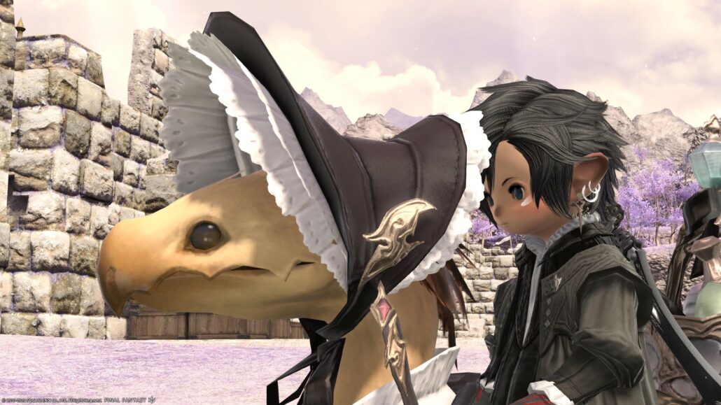 Chocobo armor “Abigail Barding” in chic and cute maid clothes | Norirow ...