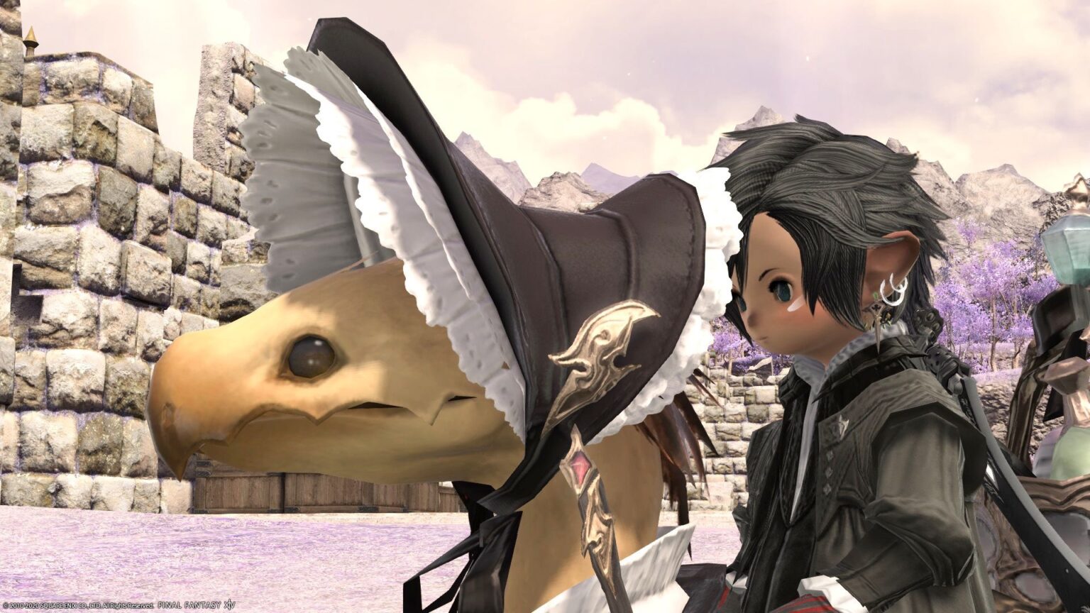 Chocobo armor “Abigail Barding” in chic and cute maid clothes | Norirow ...