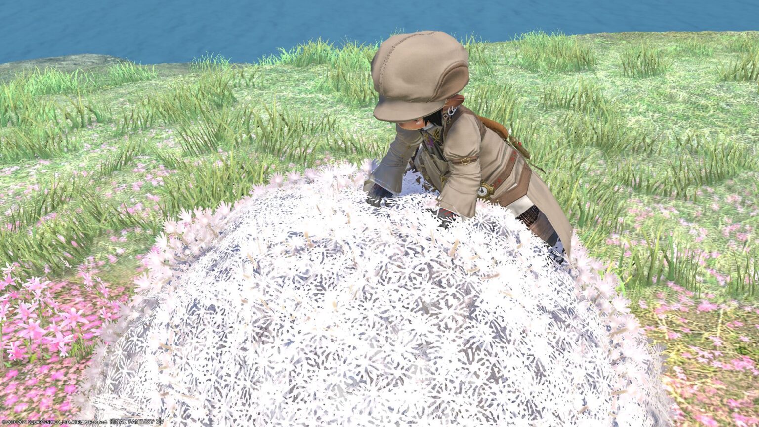 Moogle Quest Mount, cute fluffy fluff “Cloud Mallow” | Norirow Note ...