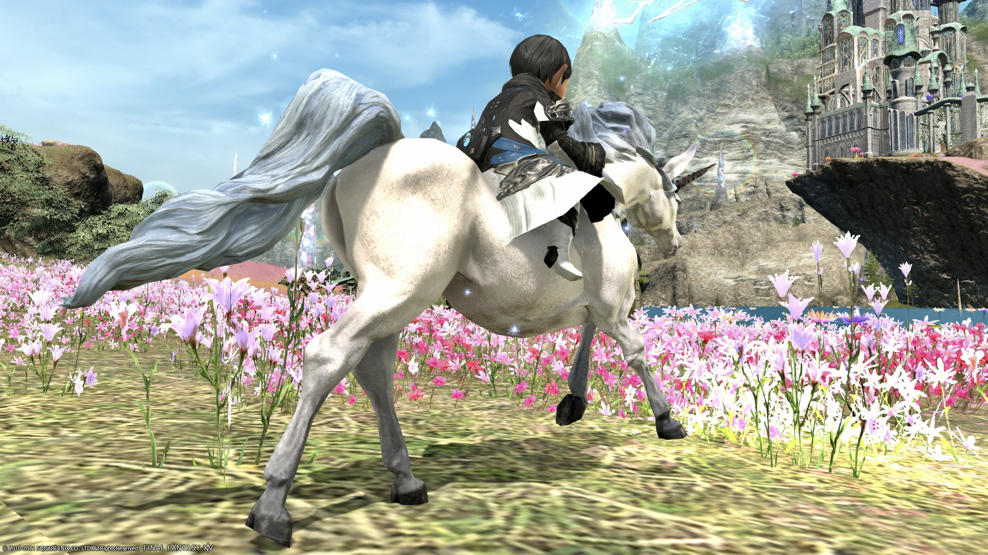 Pure white one-horn beast mount “Unicorn” (Conjurer Lv 30 Sidequest ...