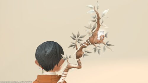 White Mage Resistance Weapon (RW) Second Form, Mysterious Shining ...