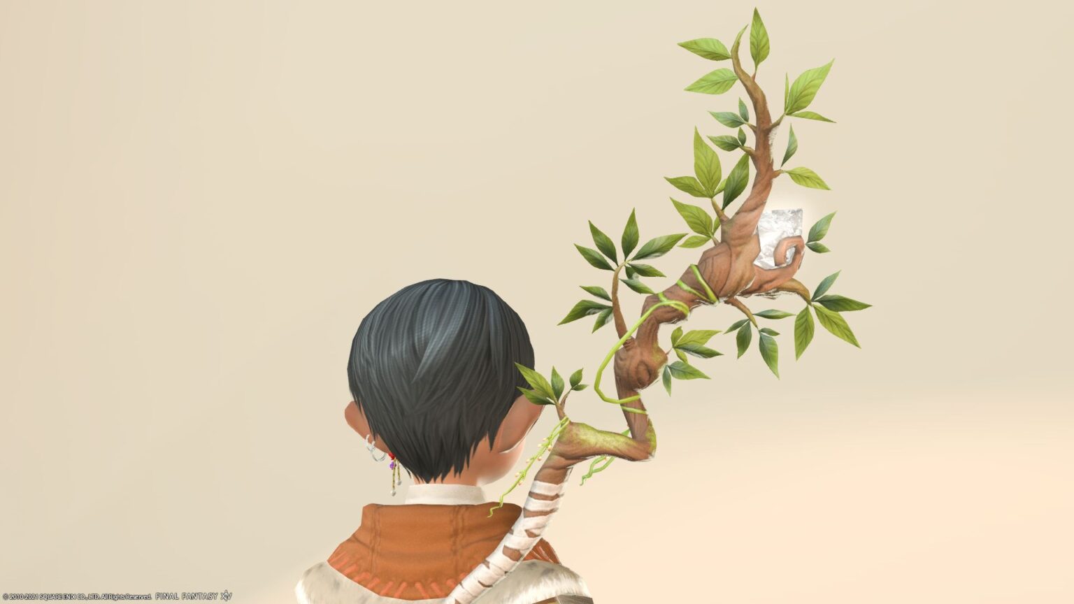 White Mage Resistance Weapon (RW) Second Form, Mysterious Shining ...