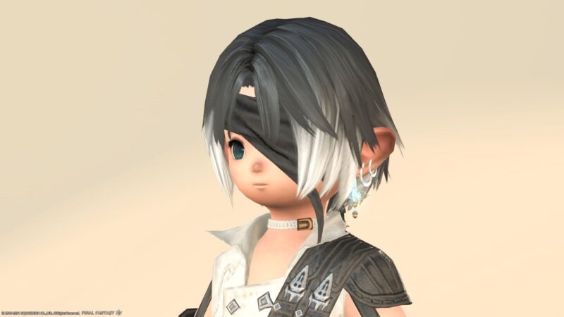 [Glamour] Heavensward’s Thancred Costume and Hairstyle “Thancred’s ...