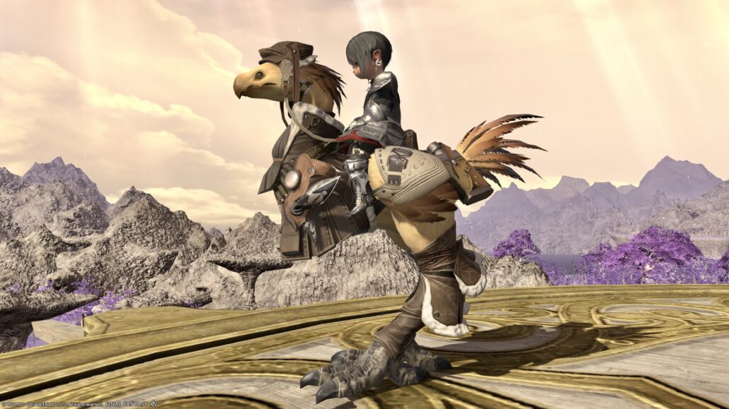 Chocobo armor on the Bozjan Zadnor, cute military uniform chocobo ...