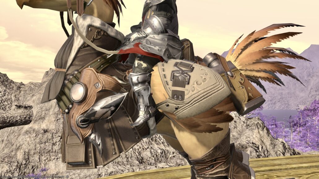 Chocobo armor on the Bozjan Zadnor, cute military uniform chocobo ...