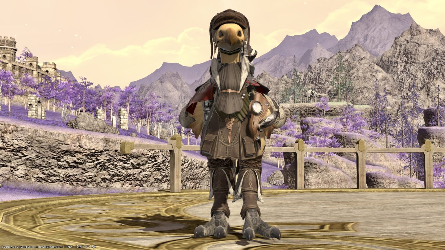 Chocobo armor on the Bozjan Zadnor, cute military uniform chocobo ...