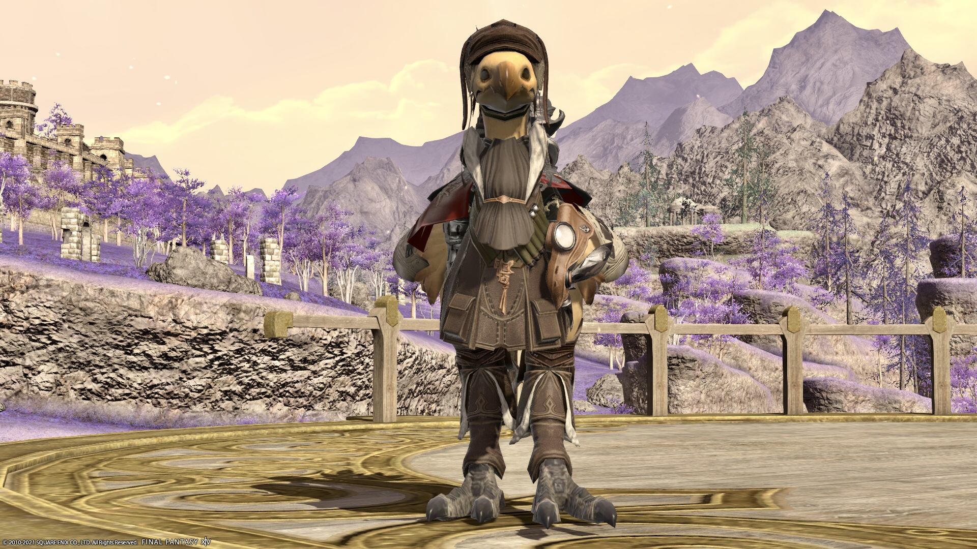 Chocobo armor on the Bozjan Zadnor, cute military uniform chocobo ...