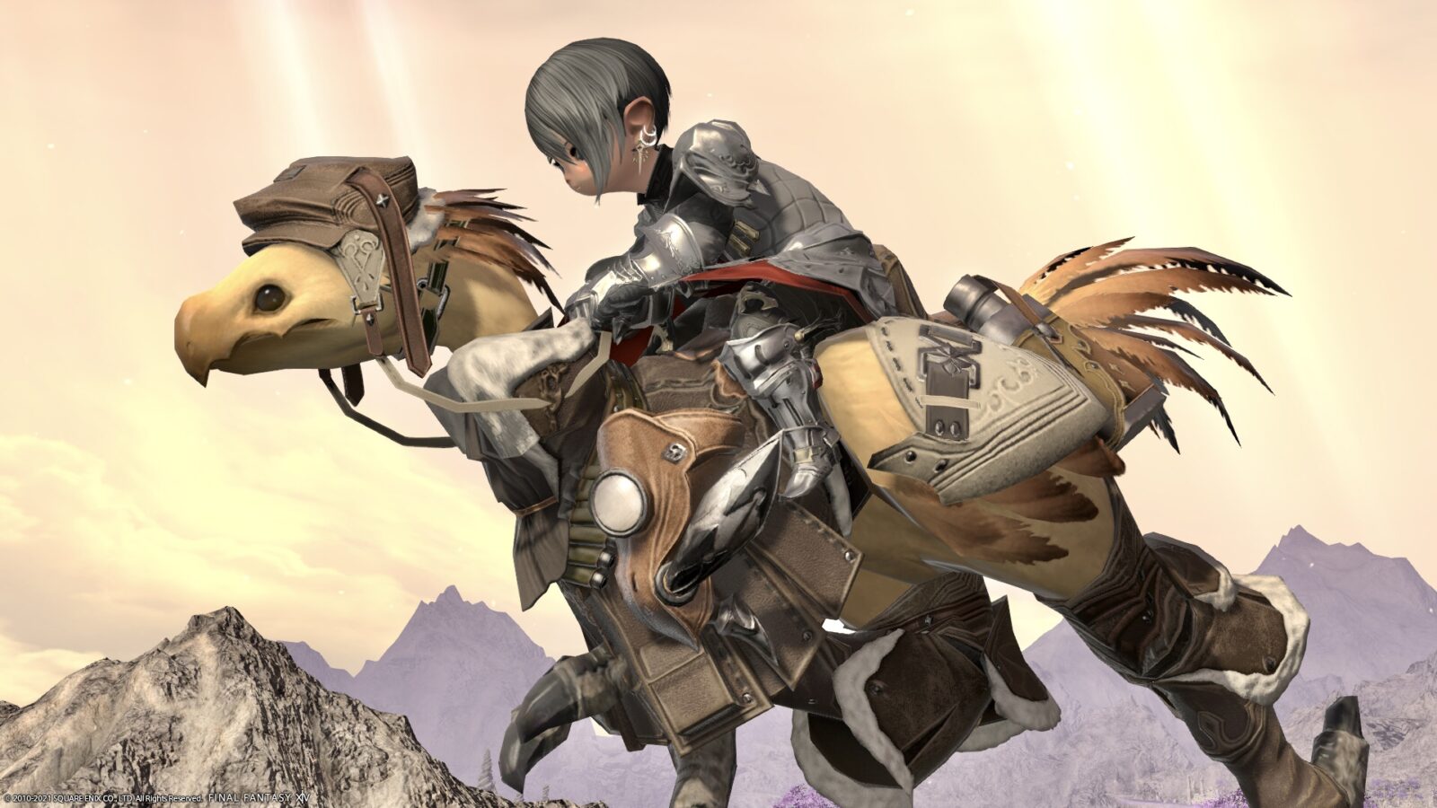 Chocobo armor on the Bozjan Zadnor, cute military uniform chocobo ...