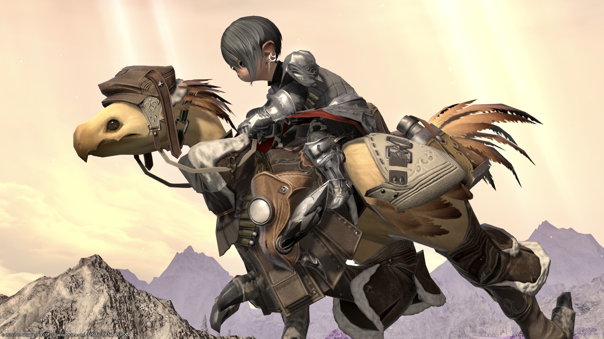 Chocobo armor on the Bozjan Zadnor, cute military uniform chocobo ...