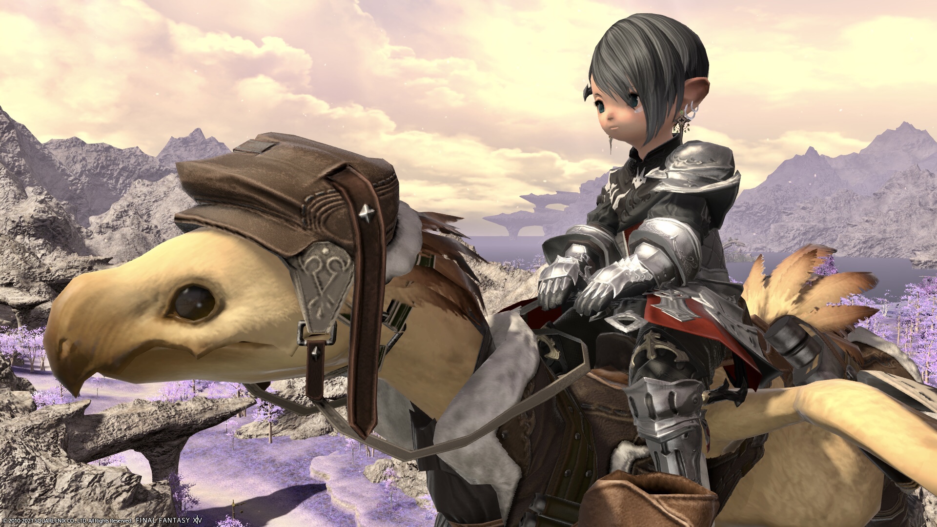 Chocobo armor on the Bozjan Zadnor, cute military uniform chocobo ...