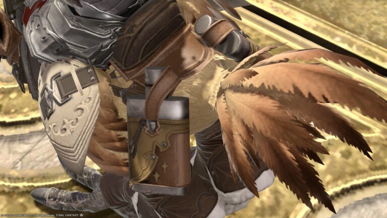 Chocobo armor on the Bozjan Zadnor, cute military uniform chocobo ...