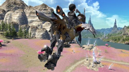 Is it equipped with an engine? Silver Chocobo Armor / The Cloud Deck ...