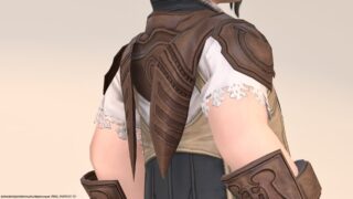 [Glamour] FF12’s cute Panelo costume! the Zadnor Ranged Equipment ...