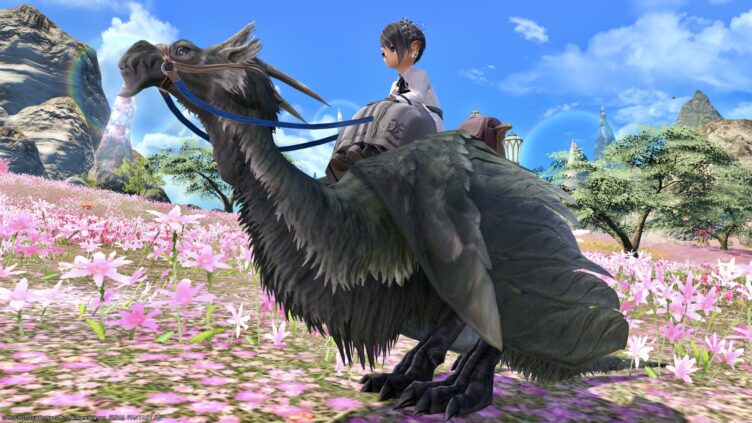 All battle job Lv80 complete reward mount / Flying beast with a gentle ...