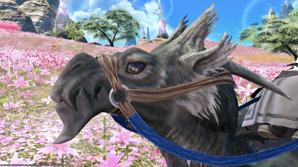 All battle job Lv80 complete reward mount / Flying beast with a gentle ...