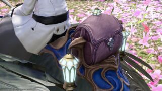 All battle job Lv80 complete reward mount / Flying beast with a gentle ...