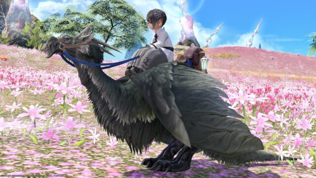 All battle job Lv80 complete reward mount / Flying beast with a gentle ...