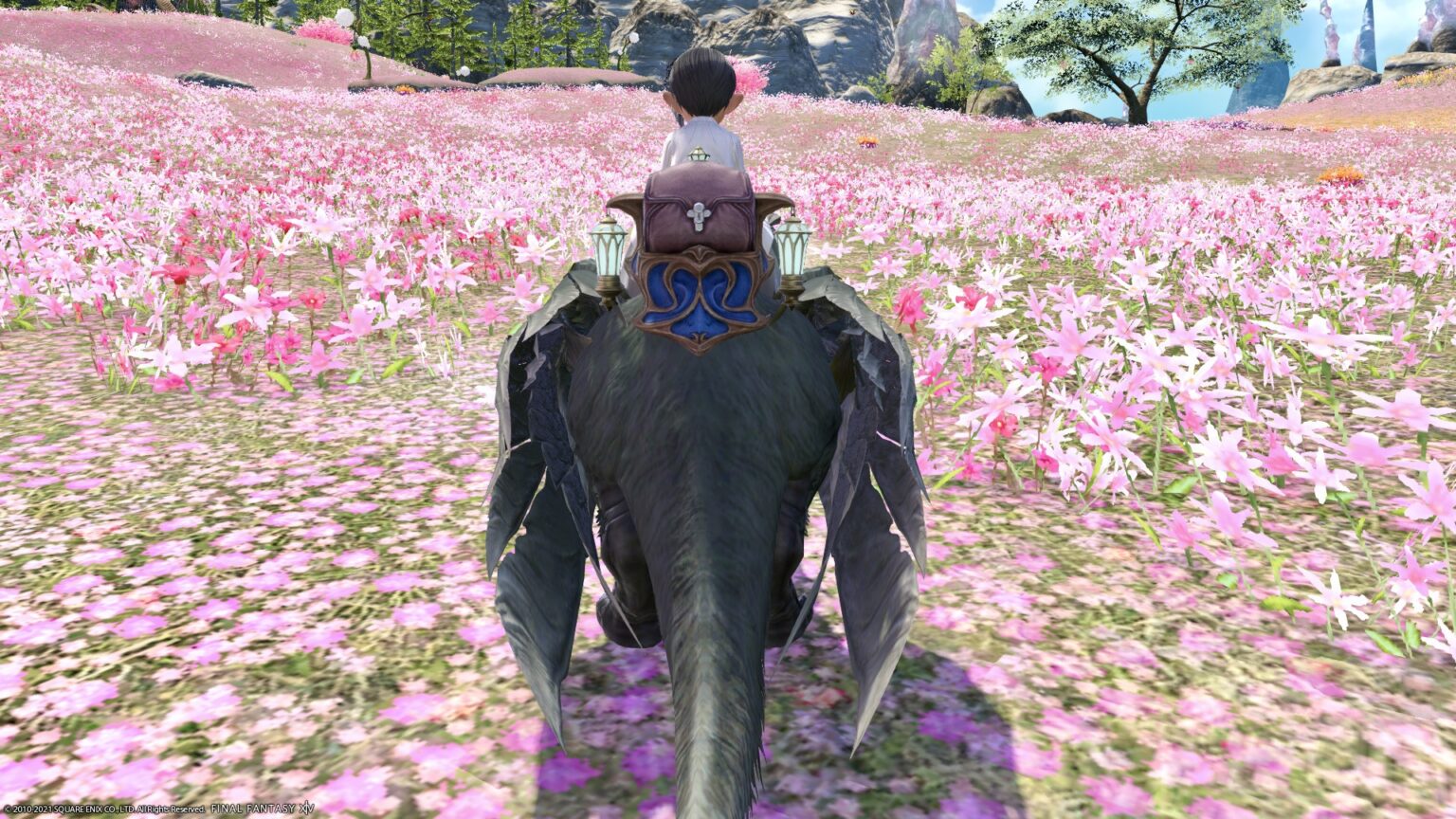 All battle job Lv80 complete reward mount / Flying beast with a gentle ...