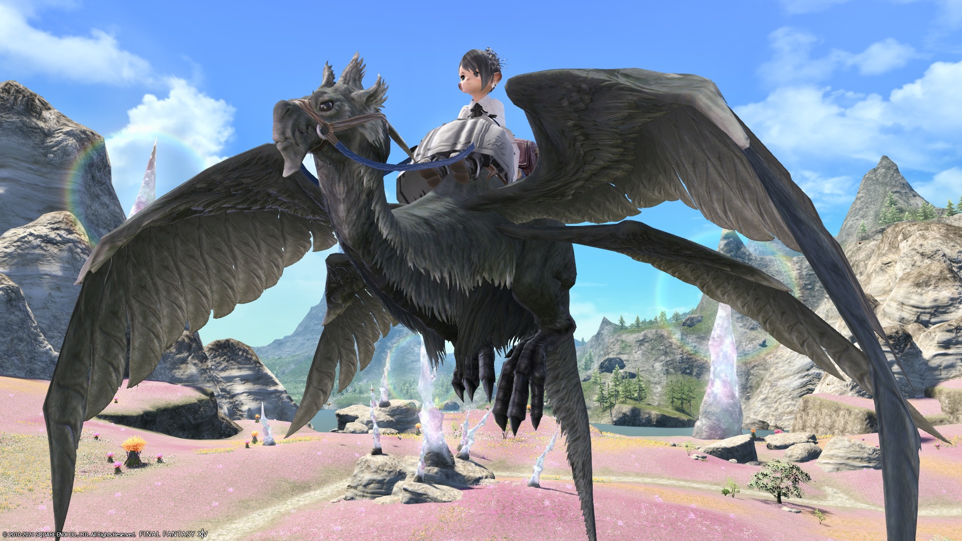 All battle job Lv80 complete reward mount / Flying beast with a gentle ...