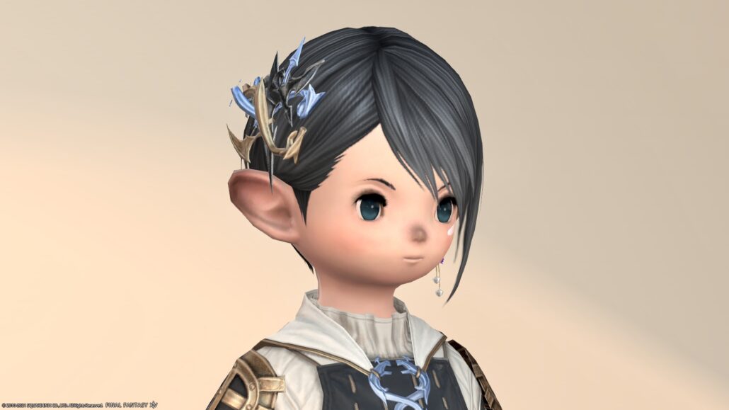 [Glamour] FF12 Prince Larsa’s cute costume! the Zadnor Healer Equipment ...