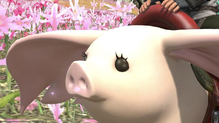 Mount Pixie quests “Portly Porxie”, a cute flying piglet | Norirow Note ...