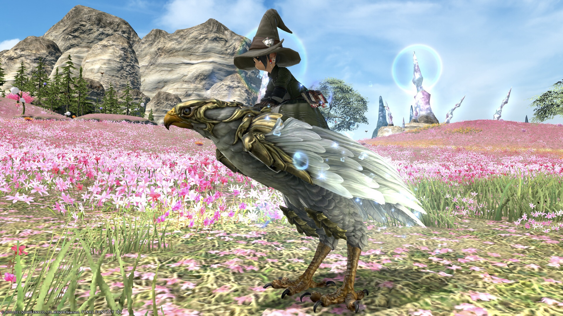 White and beautiful bubble bird, The Limitless Blue (Extreme) mount ...