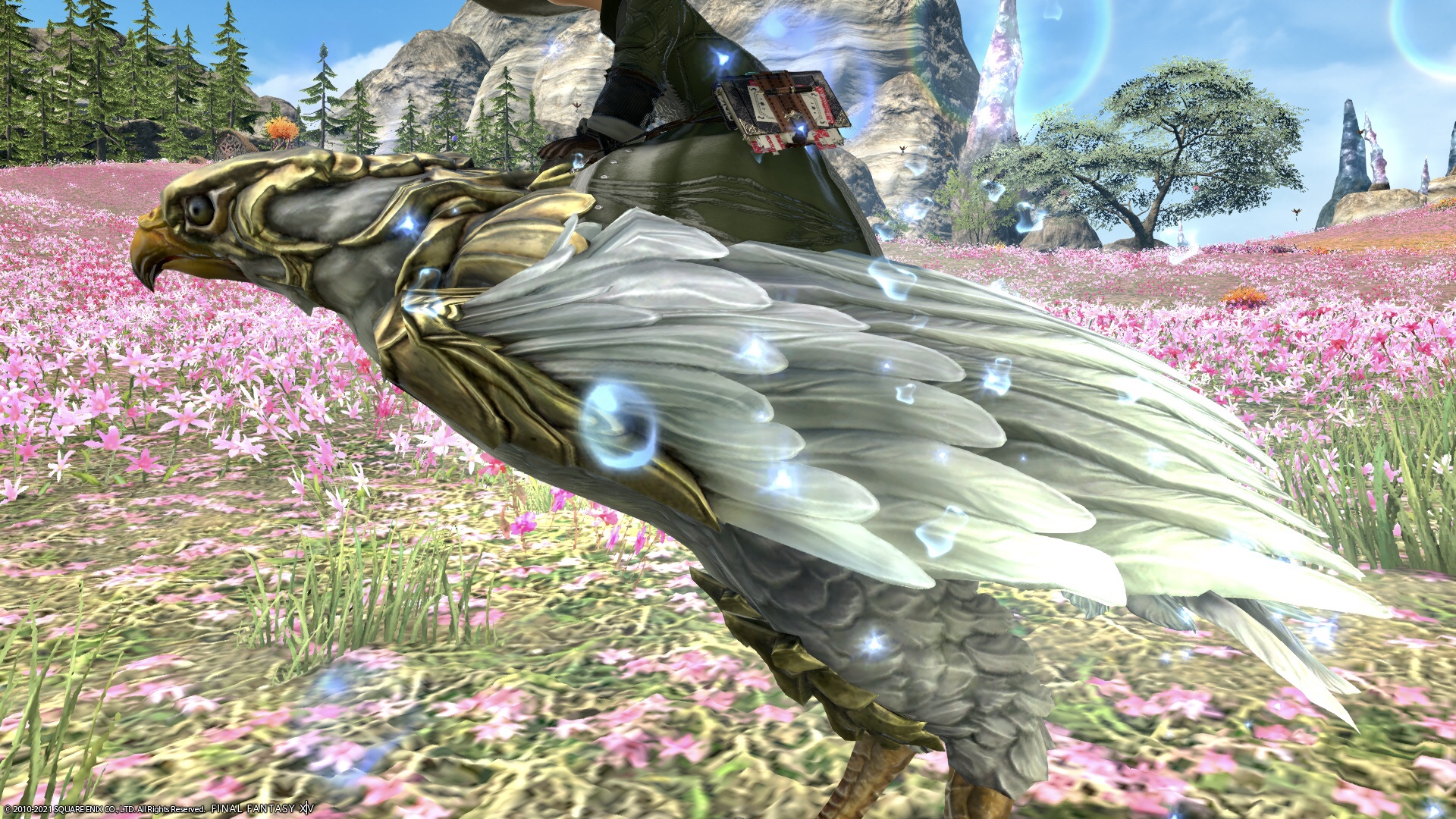 White and beautiful bubble bird, The Limitless Blue (Extreme) mount ...