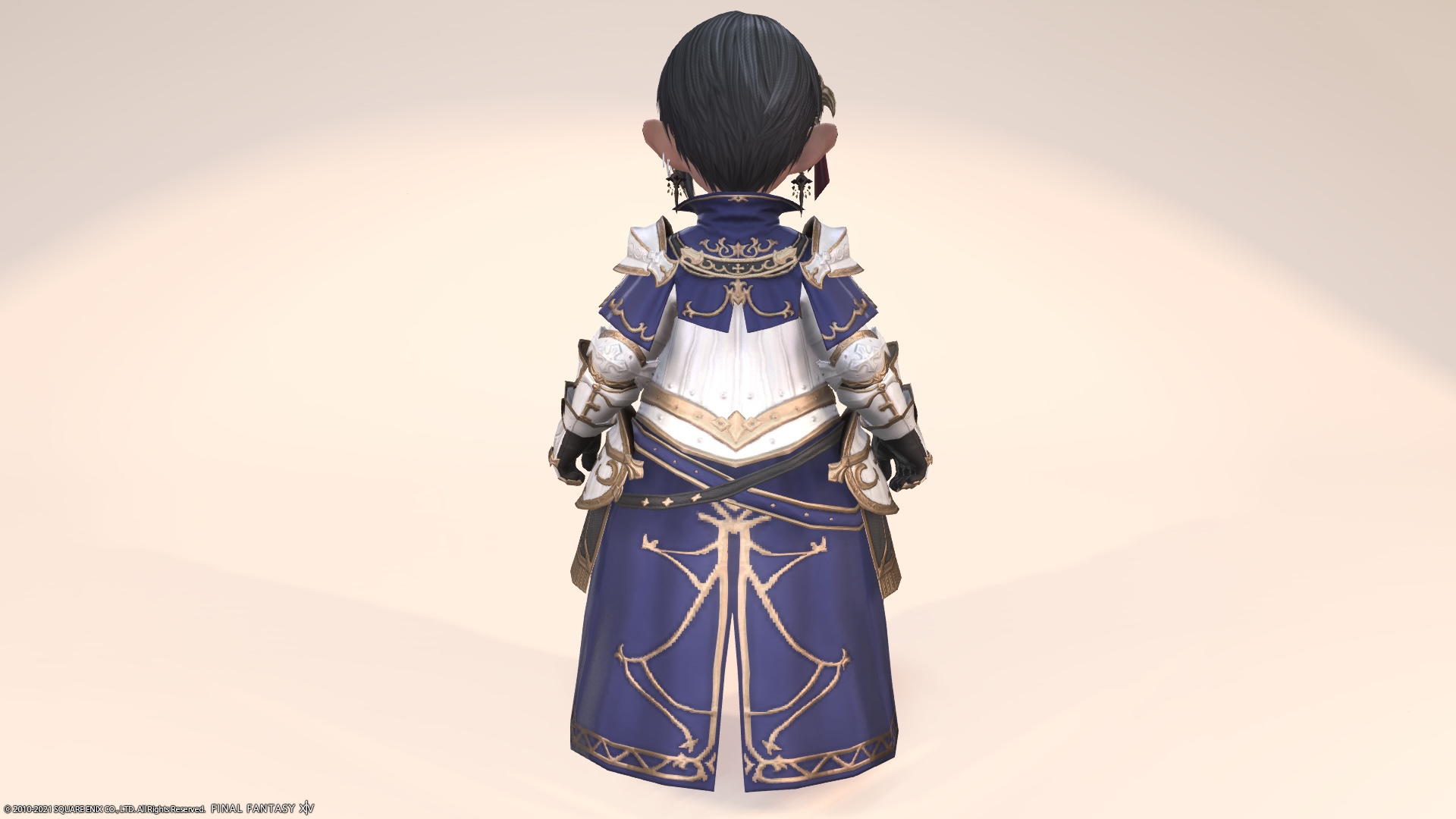 Paladin’s AF4 equipment, orthodox fashionable temple knight costume ...