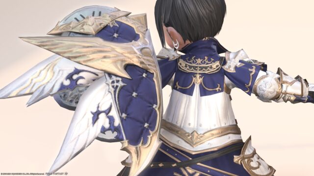 Paladin’s AF4 weapon, a deformed shield with spreading wings and a ...