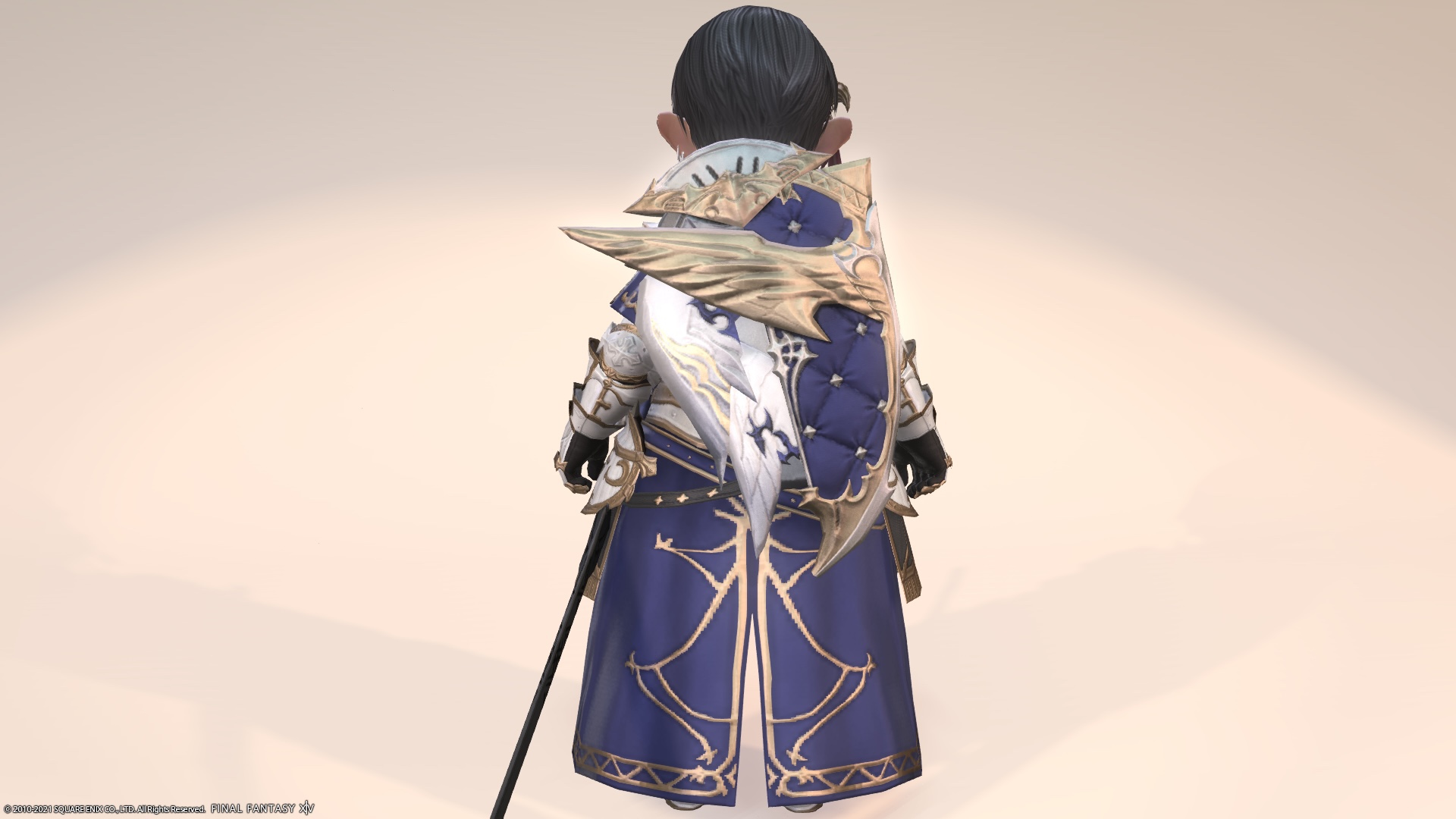 Paladin’s AF4 weapon, a deformed shield with spreading wings and a ...