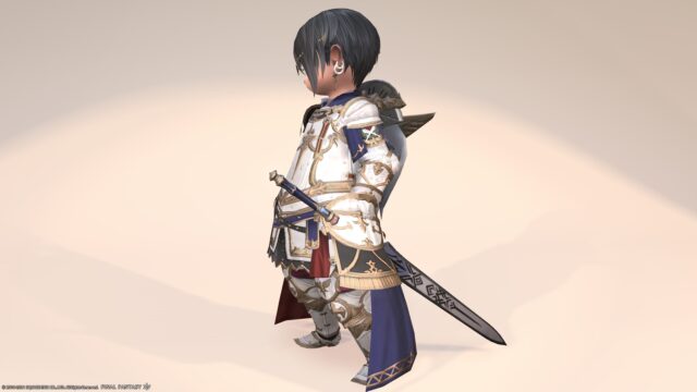 Paladin’s AF4 weapon, a deformed shield with spreading wings and a ...