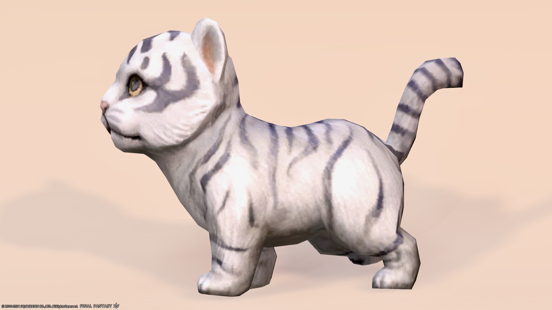 Baby white tiger? A very cute minion of a small tiger “Byakko Cub ...