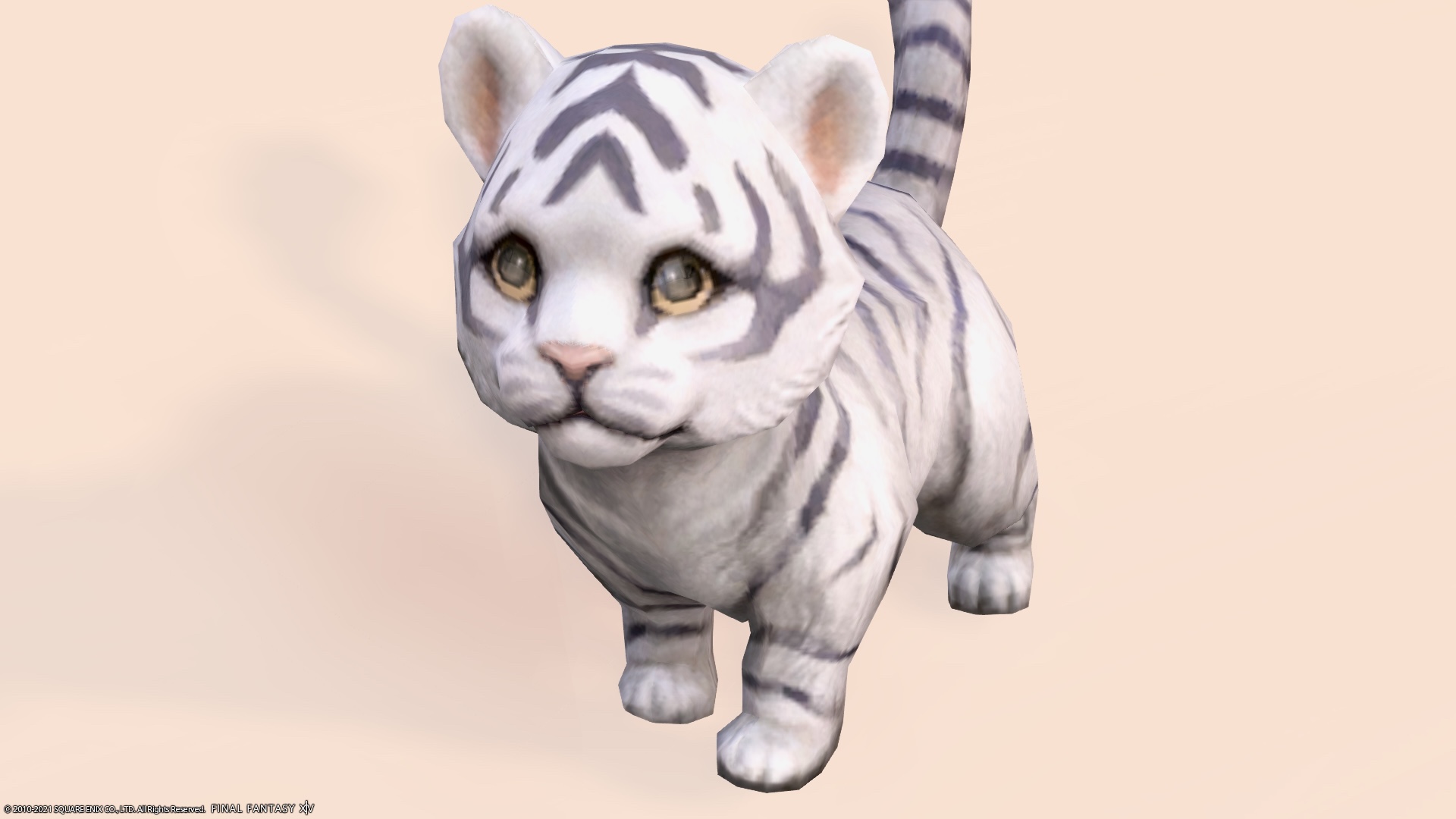 Baby white tiger? A very cute minion of a small tiger “Byakko Cub ...
